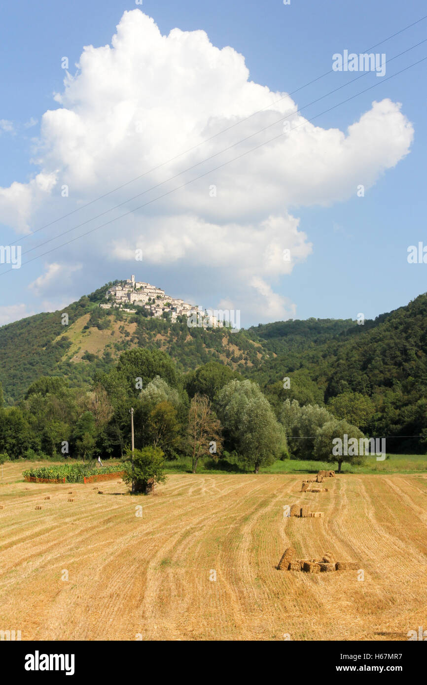 Farm farmland crops hi-res stock photography and images - Alamy