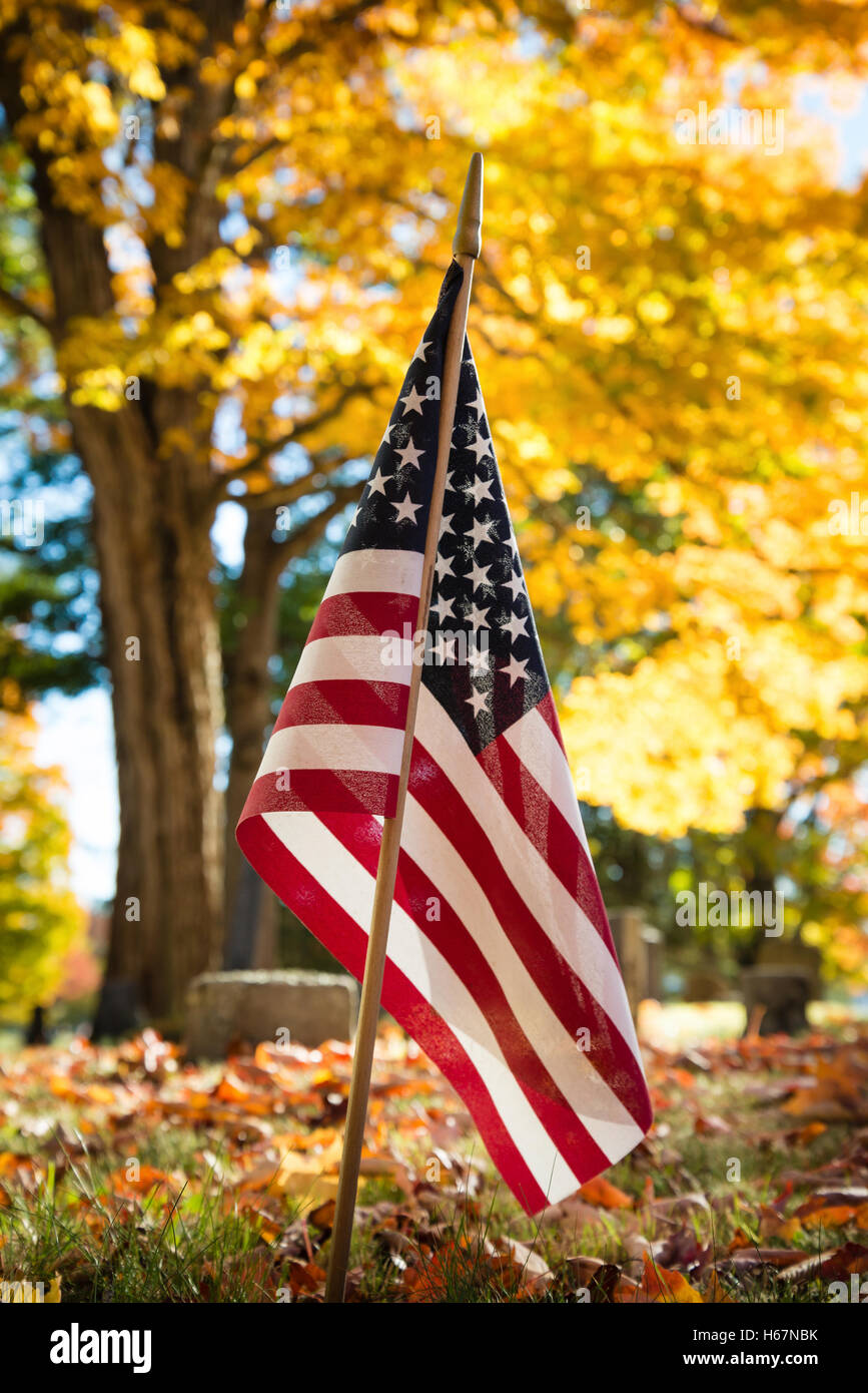 Veteran flag hi-res stock photography and images - Alamy