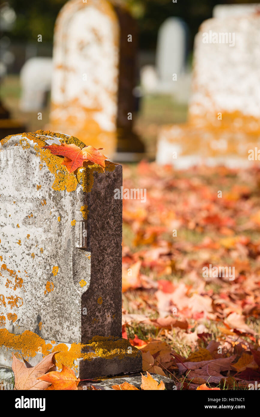 Fallen maple leaf on tombstone in autumn cemetery Stock Photo - Alamy