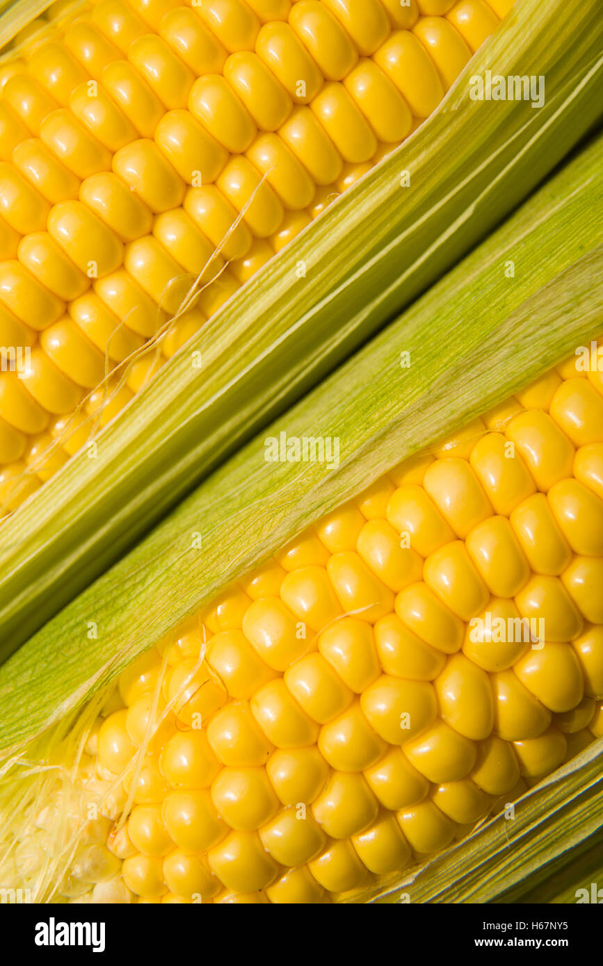 The seeds fruit of the corn. Closeup Stock Photo - Alamy