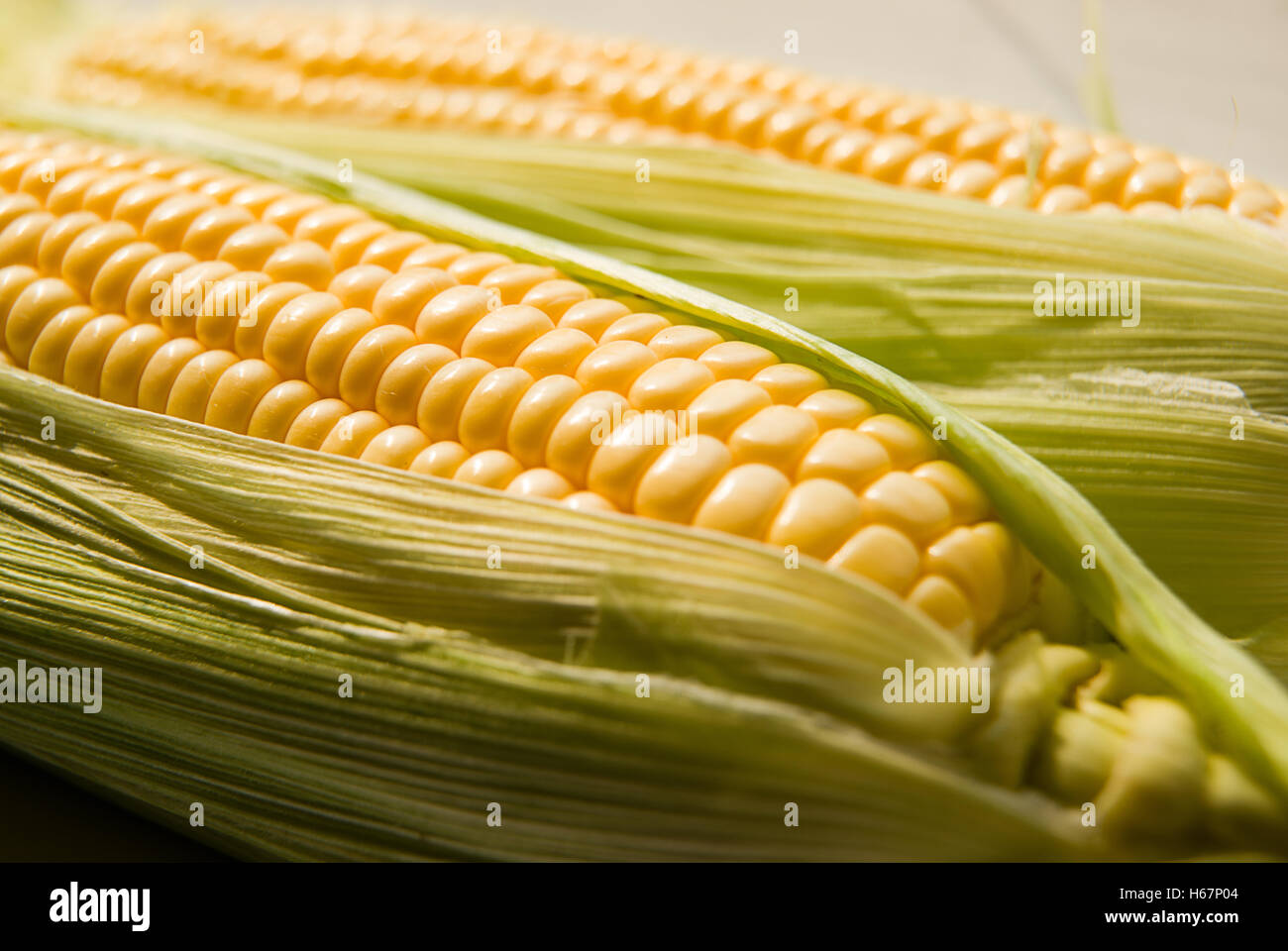 The seeds fruit of the corn. Closeup Stock Photo - Alamy