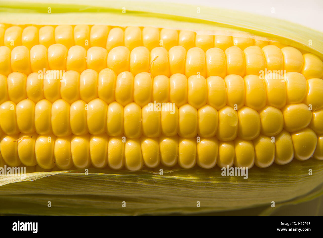 The seeds fruit of the corn. Closeup Stock Photo - Alamy