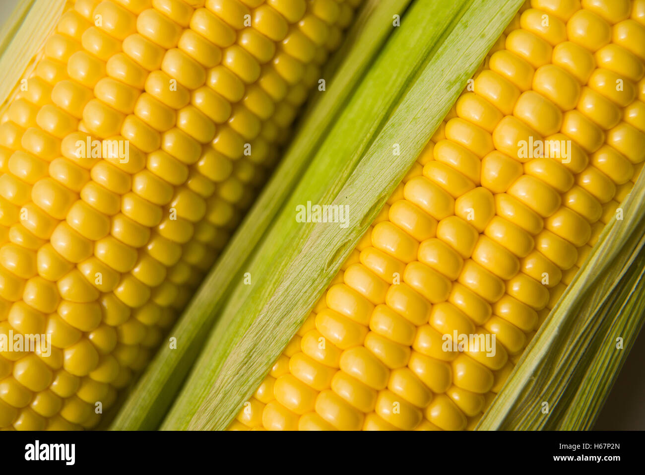 The seeds fruit of the corn. Closeup Stock Photo - Alamy