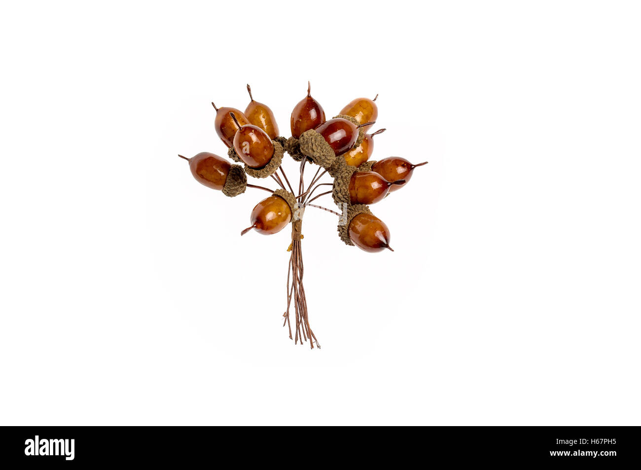 Christmas bouquet of acorns isolated on white background Stock Photo ...
