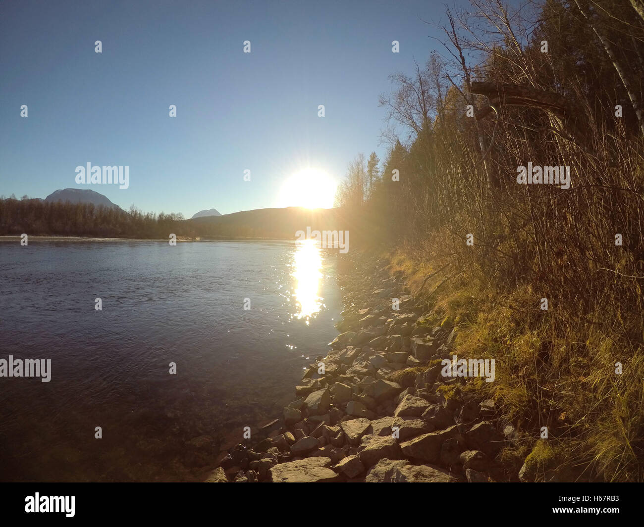 beautiful river stream in early autumn morning surrounded by forest ...