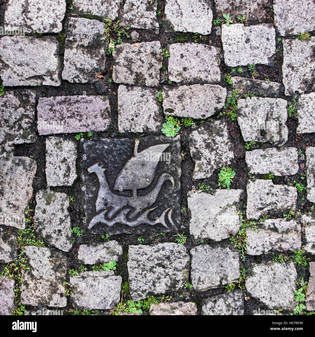 Decorative cobble stone detail in the cobbled street of old town. Hann ...