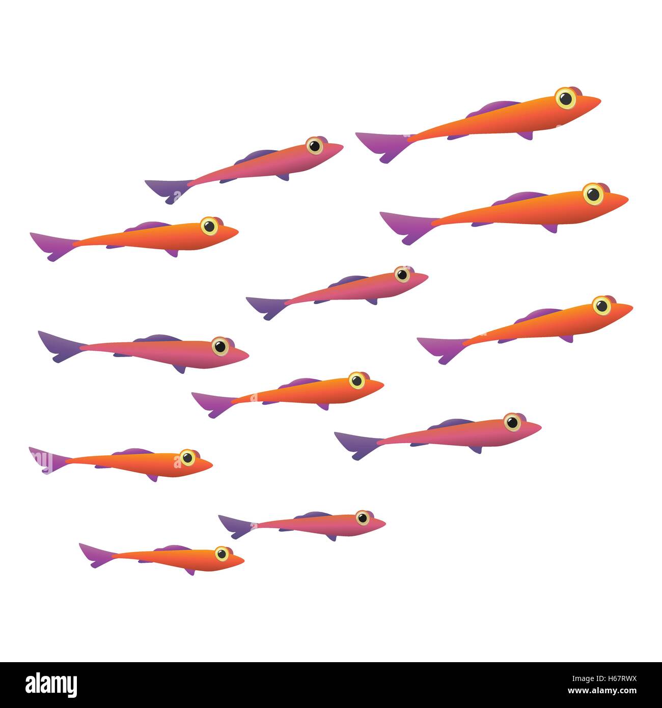 Little tiny fish Cut Out Stock Images & Pictures - Alamy