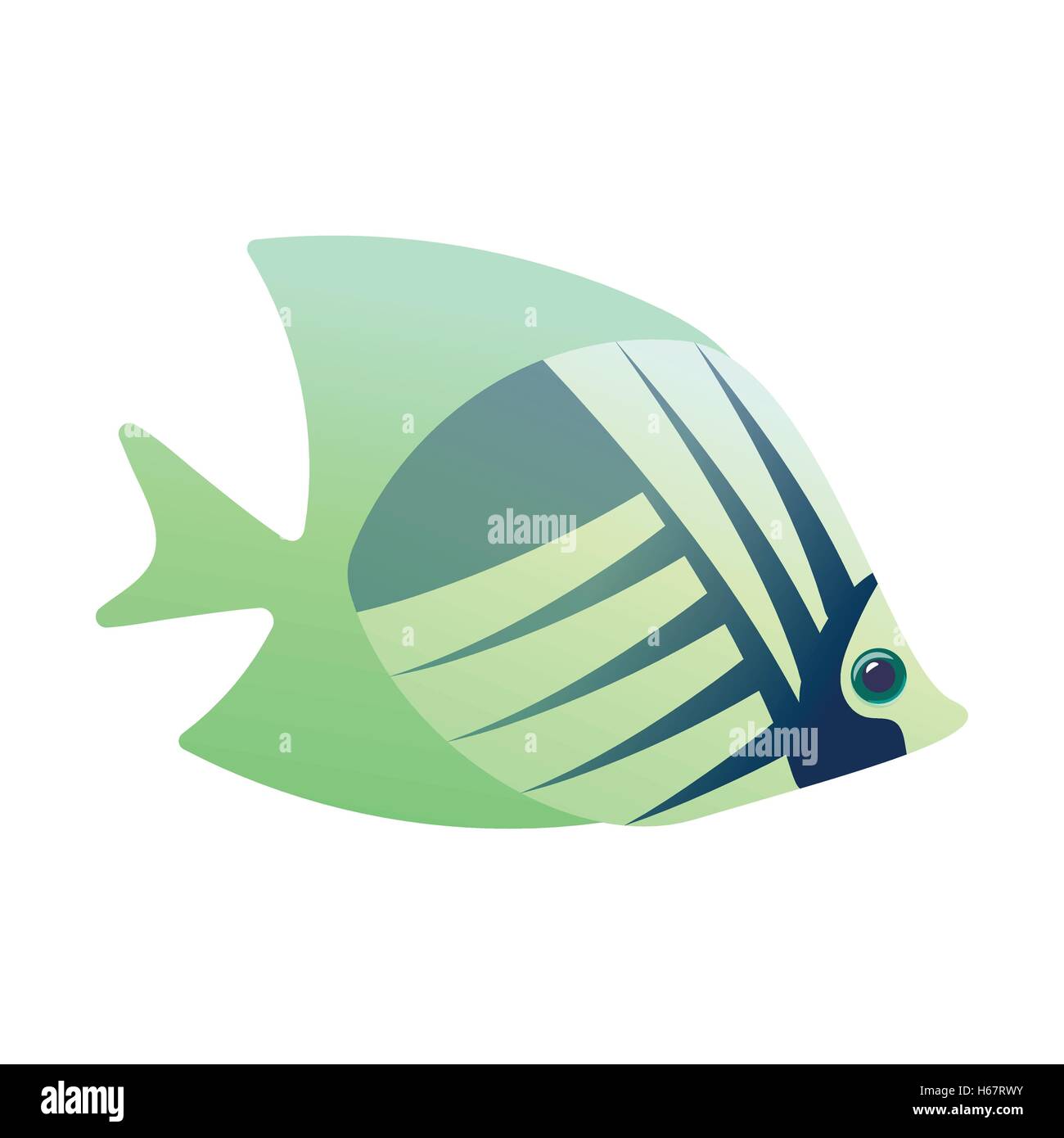 Tropical angelfish cartoon icon Stock Vector Image & Art - Alamy