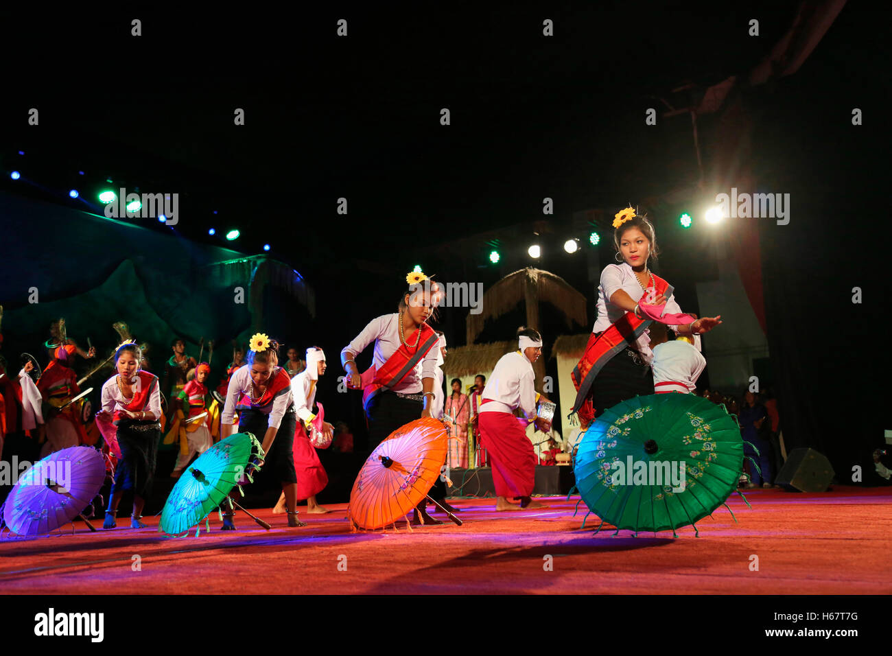 Mog High Resolution Stock Photography and Images - Alamy