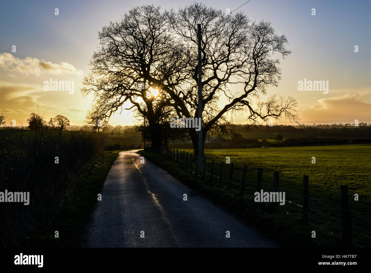 Sunset at the end of the road Stock Photo - Alamy