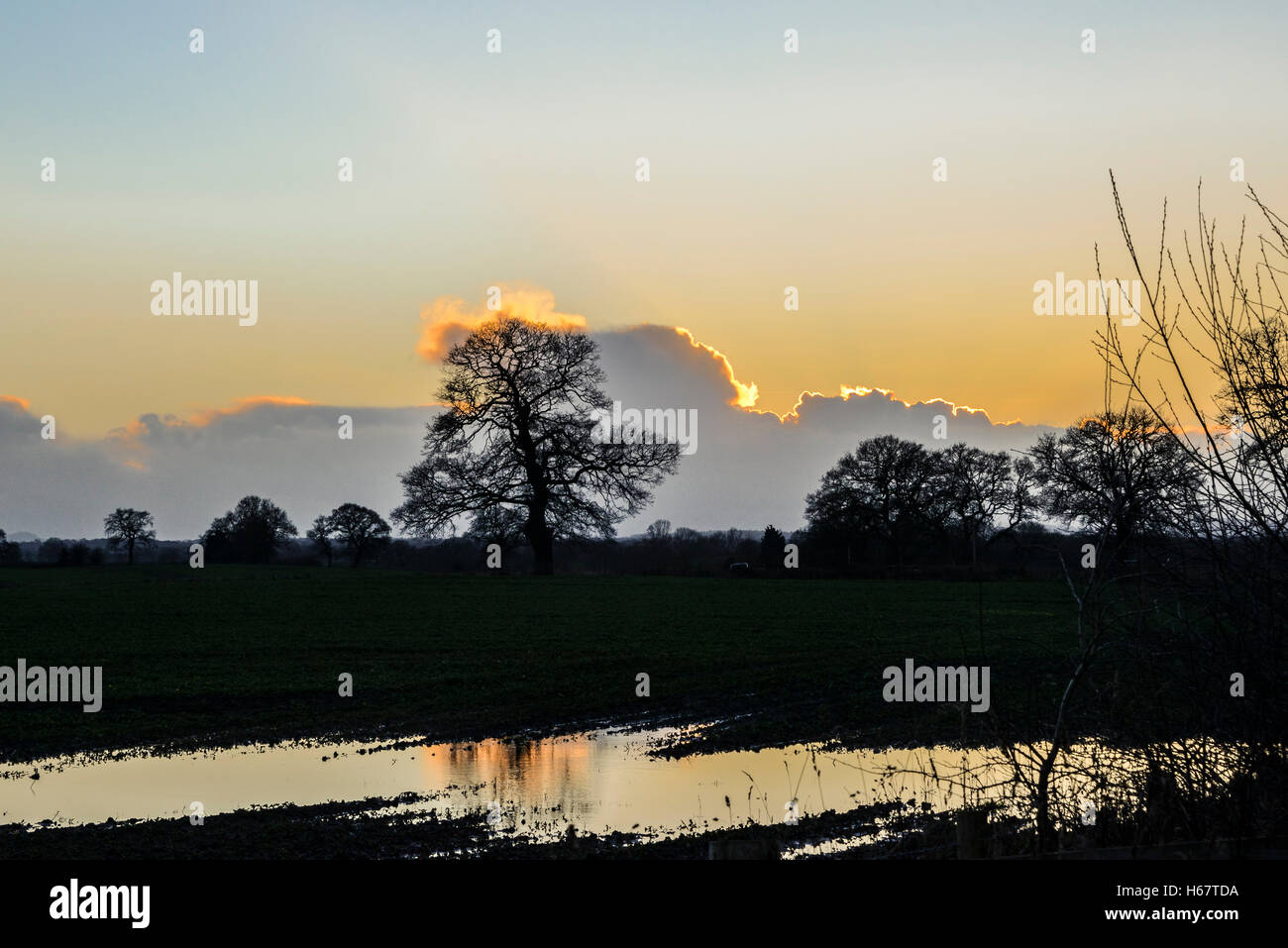 Reflection of sun and clouds in a puddle High Resolution Stock ...