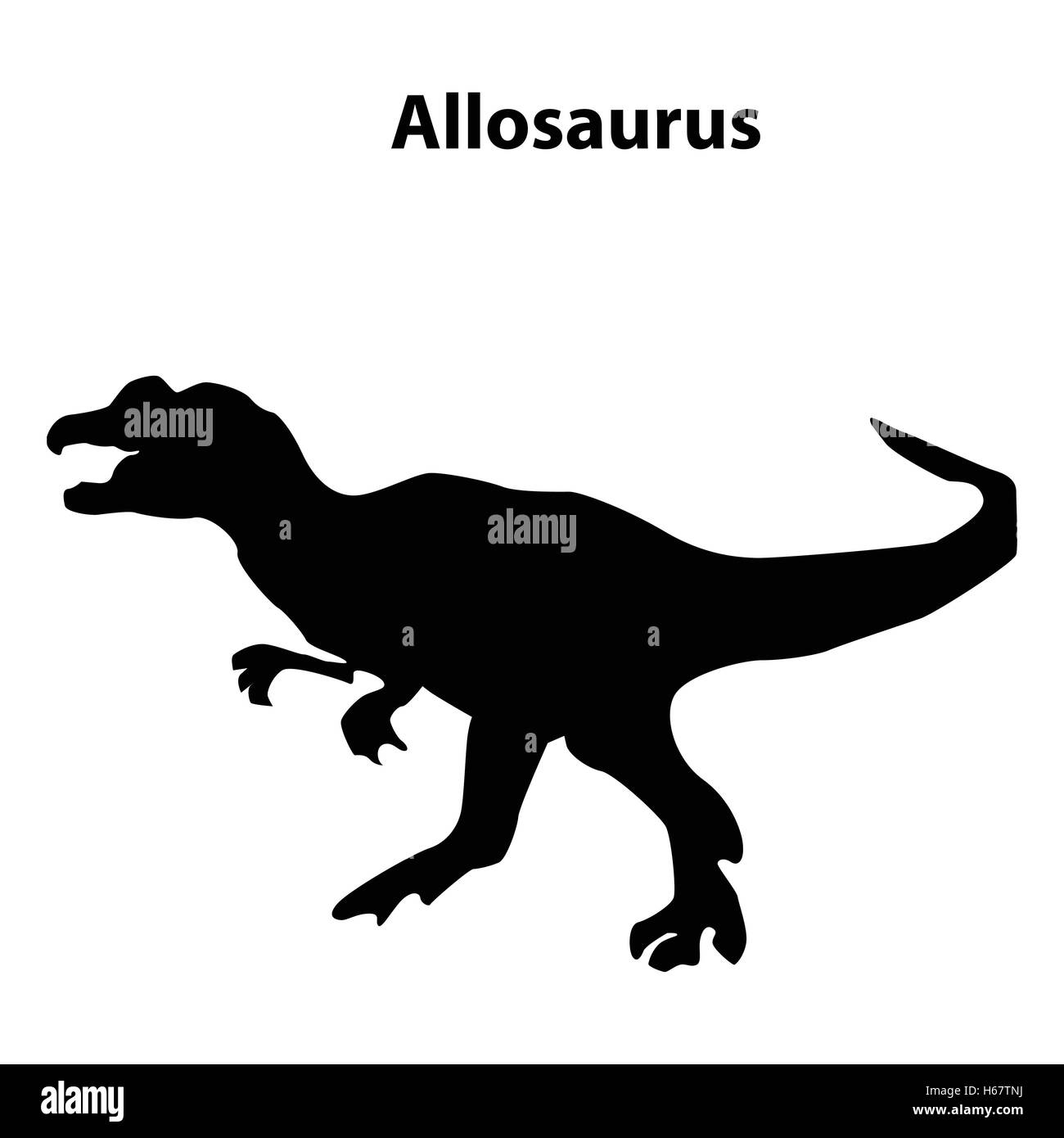 Allosaurus Stock Vector Images - Alamy