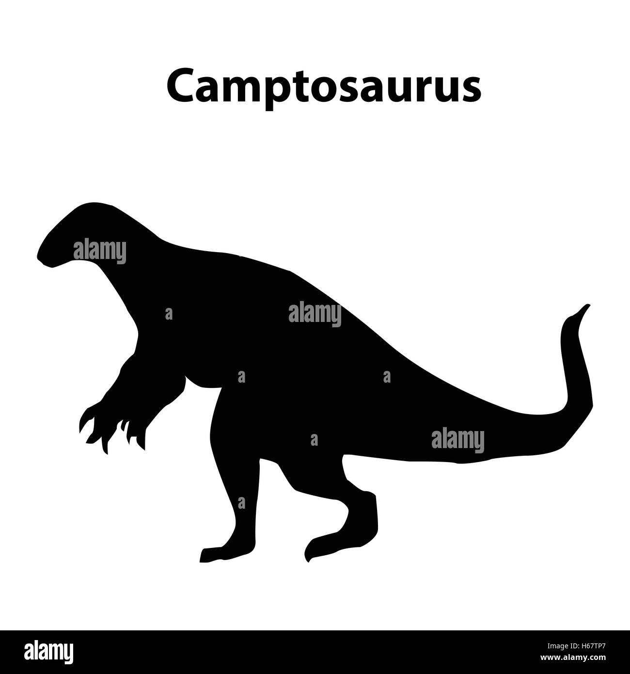 Camptosaurus dinosaur silhouette Stock Vector Image & Art - Alamy