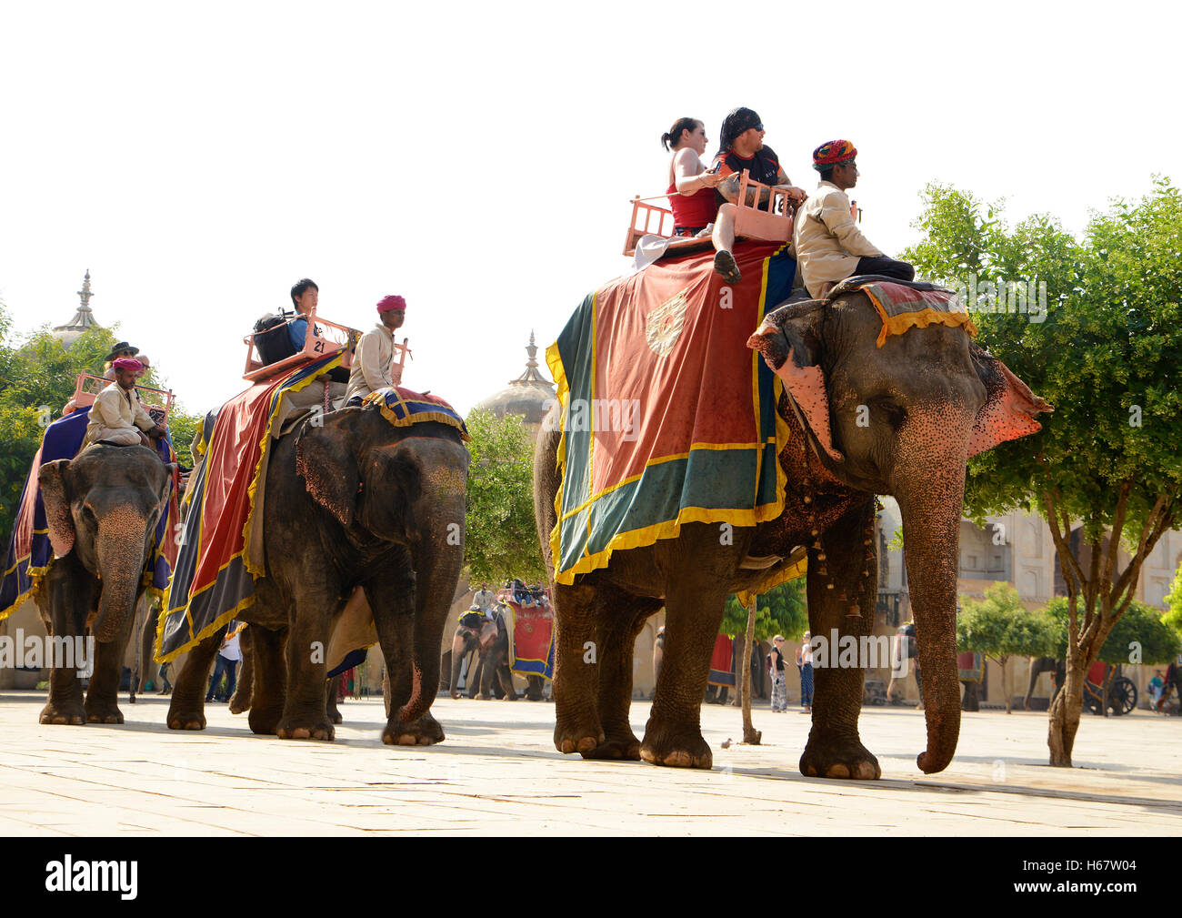 Mahout riding decorated Indian Elephant at Amer fort Stock Photo - Alamy