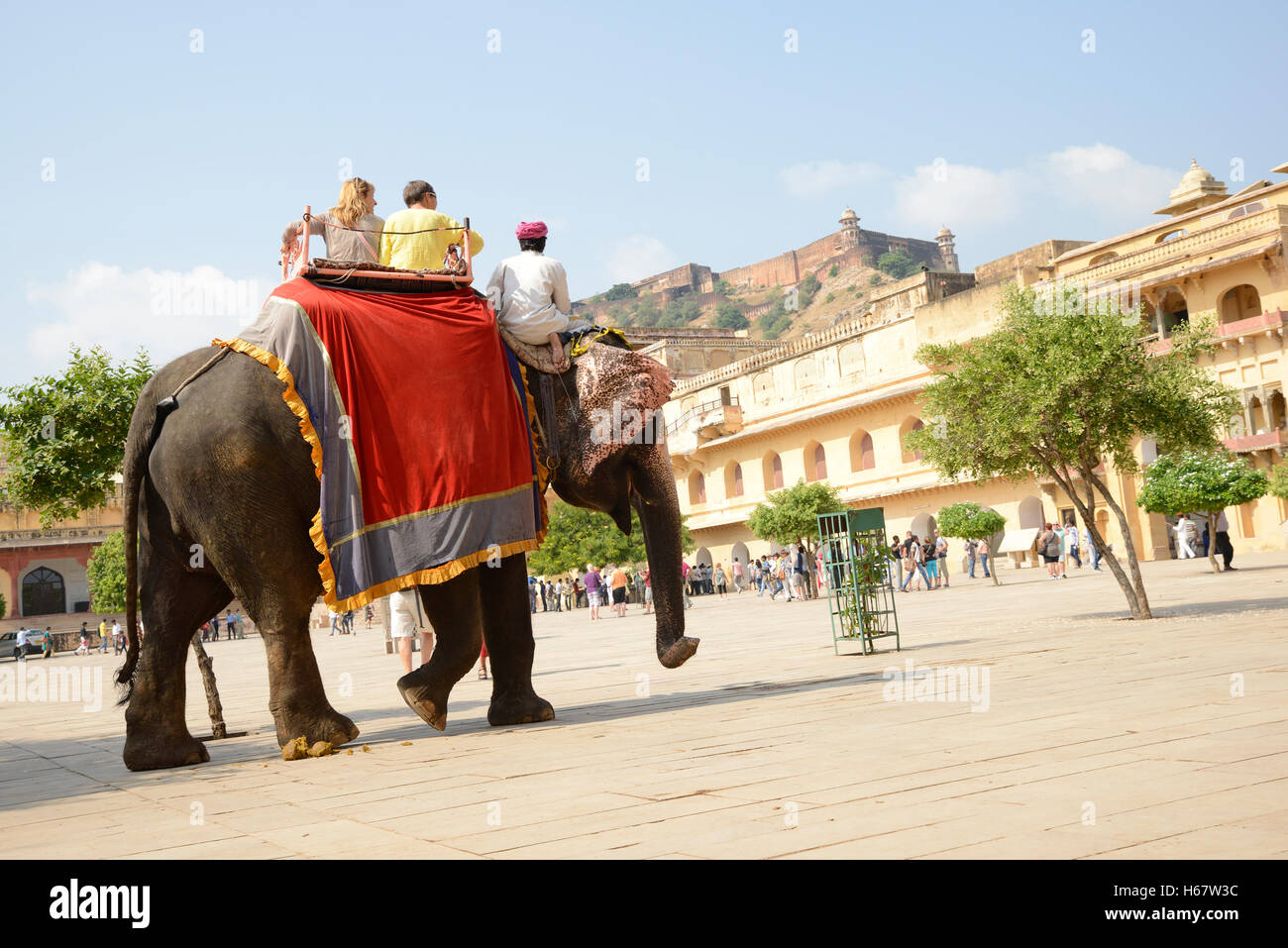 Mahout riding decorated Indian Elephant at Amer fort Stock Photo - Alamy