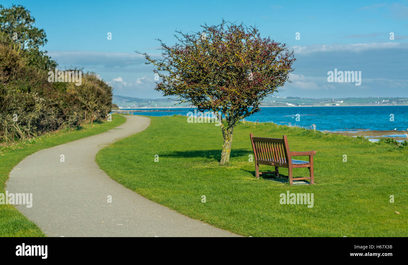 Coastal path at Penrhos country Park on Anglesey Stock Photo - Alamy