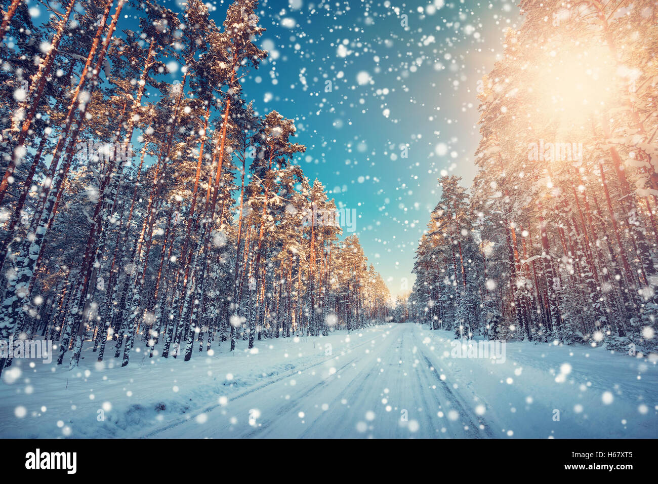 Asphalt road in snowy winter on beautiful sunny day Stock Photo - Alamy