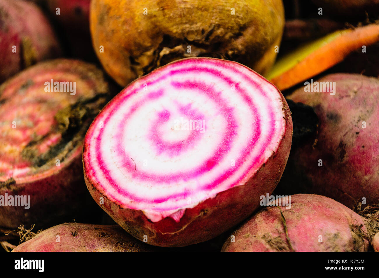 Beetroot Chioggia Red/White (Beta vulgaris) on sale at a market Stock ...