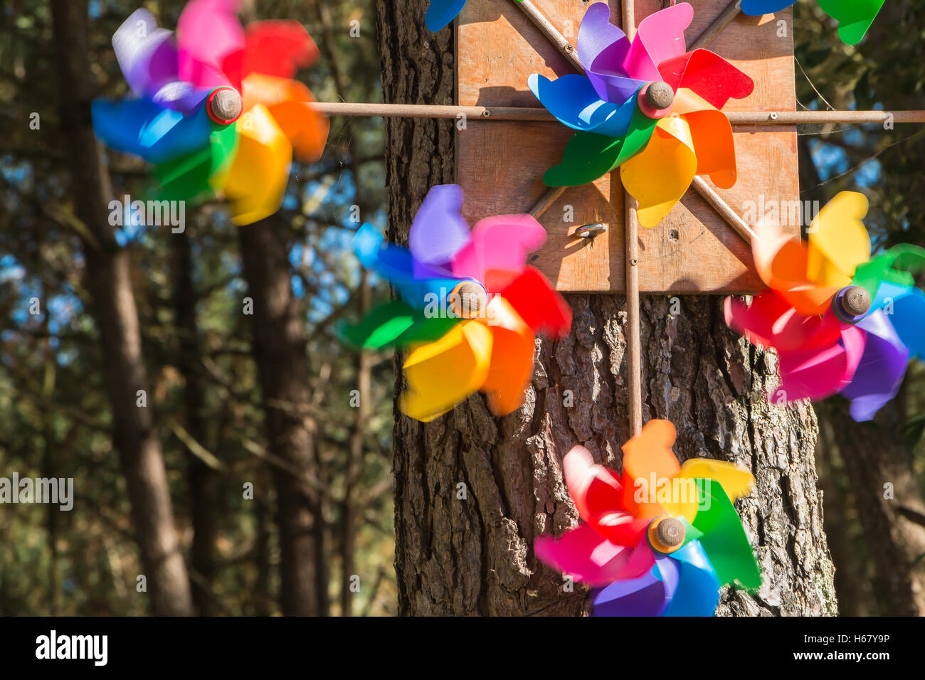 pinwheel toy hanging from a tree in forest Stock Photo - Alamy