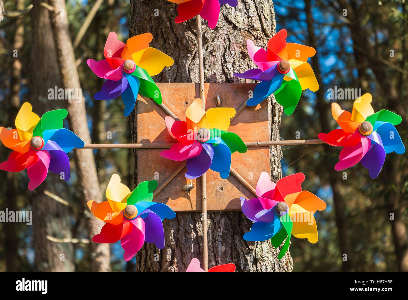 pinwheel toy hanging from a tree in forest Stock Photo - Alamy
