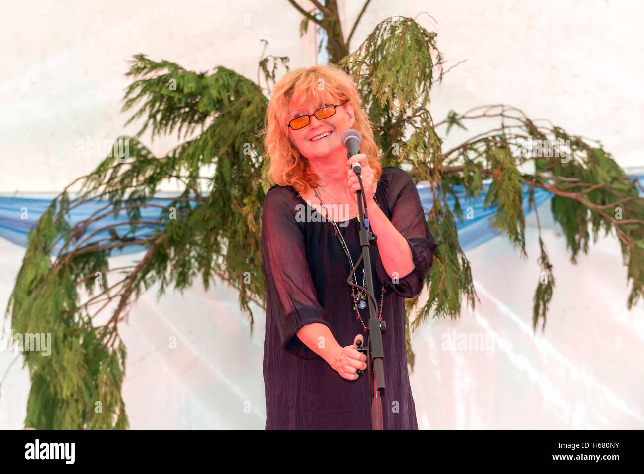 Scottish singer Eddi Reader MBE performing before a small audience in ...
