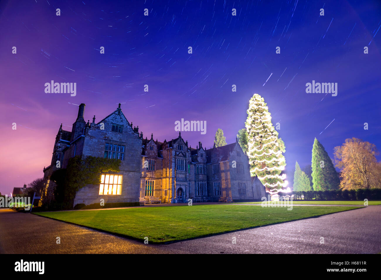 Wakehurst place christmas tree hi-res stock photography and images - Alamy