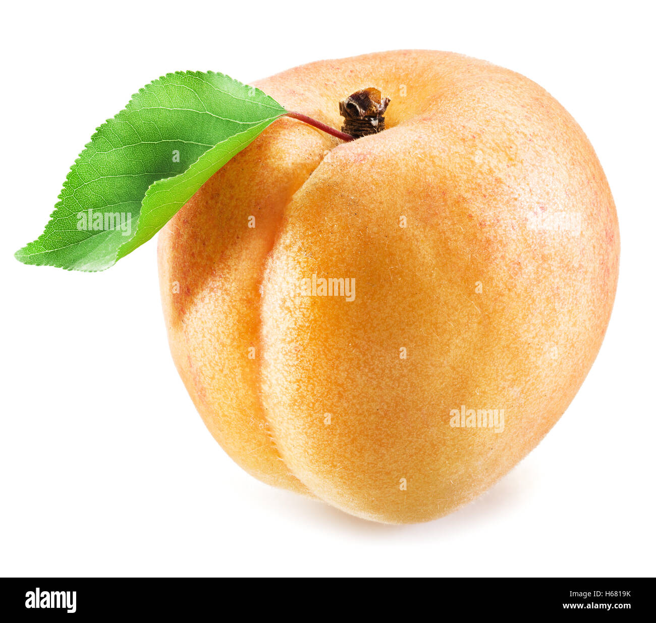 The fruit is ripe hi-res stock photography and images - Alamy