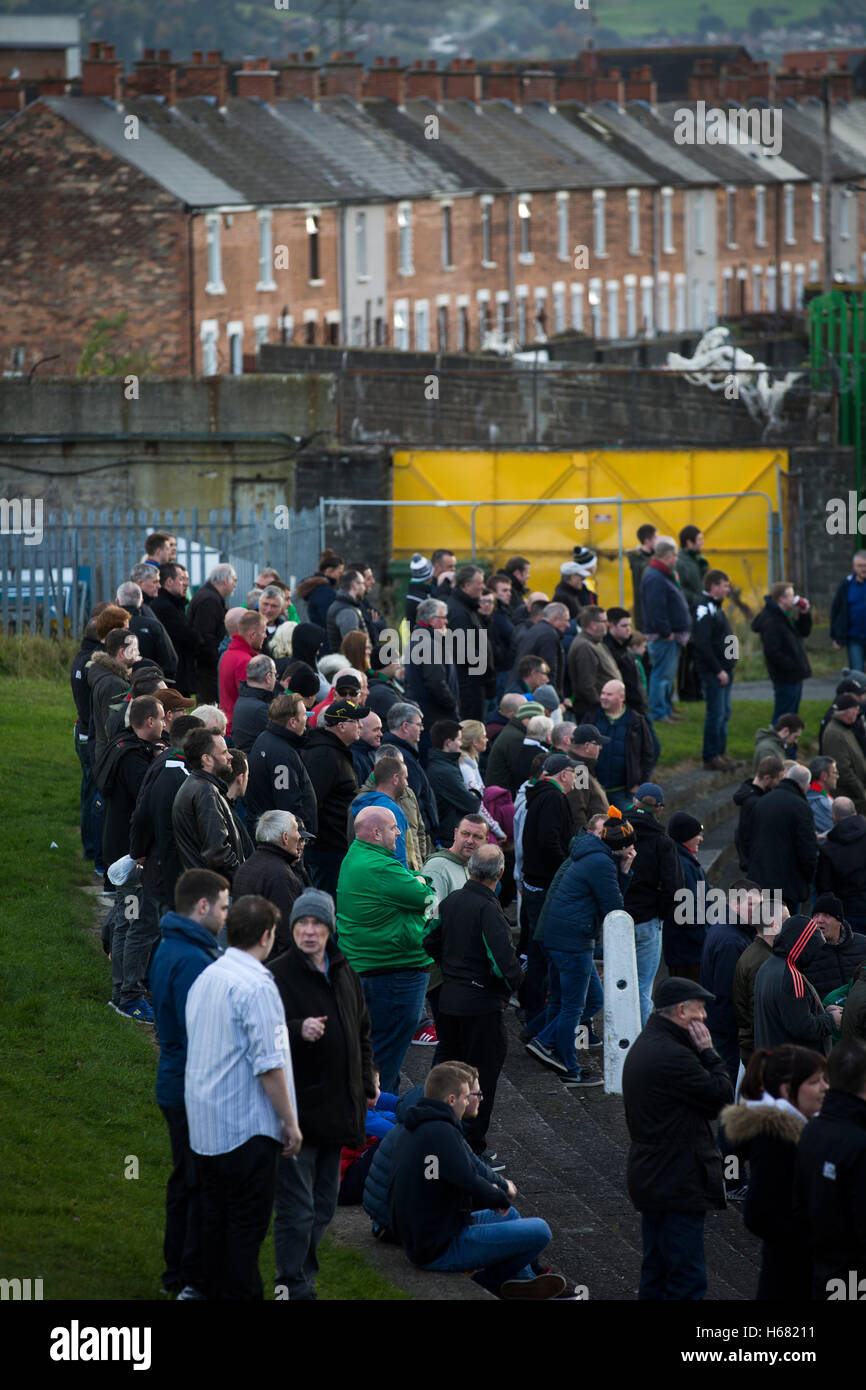 Belfast oval football ground hi-res stock photography and images - Alamy