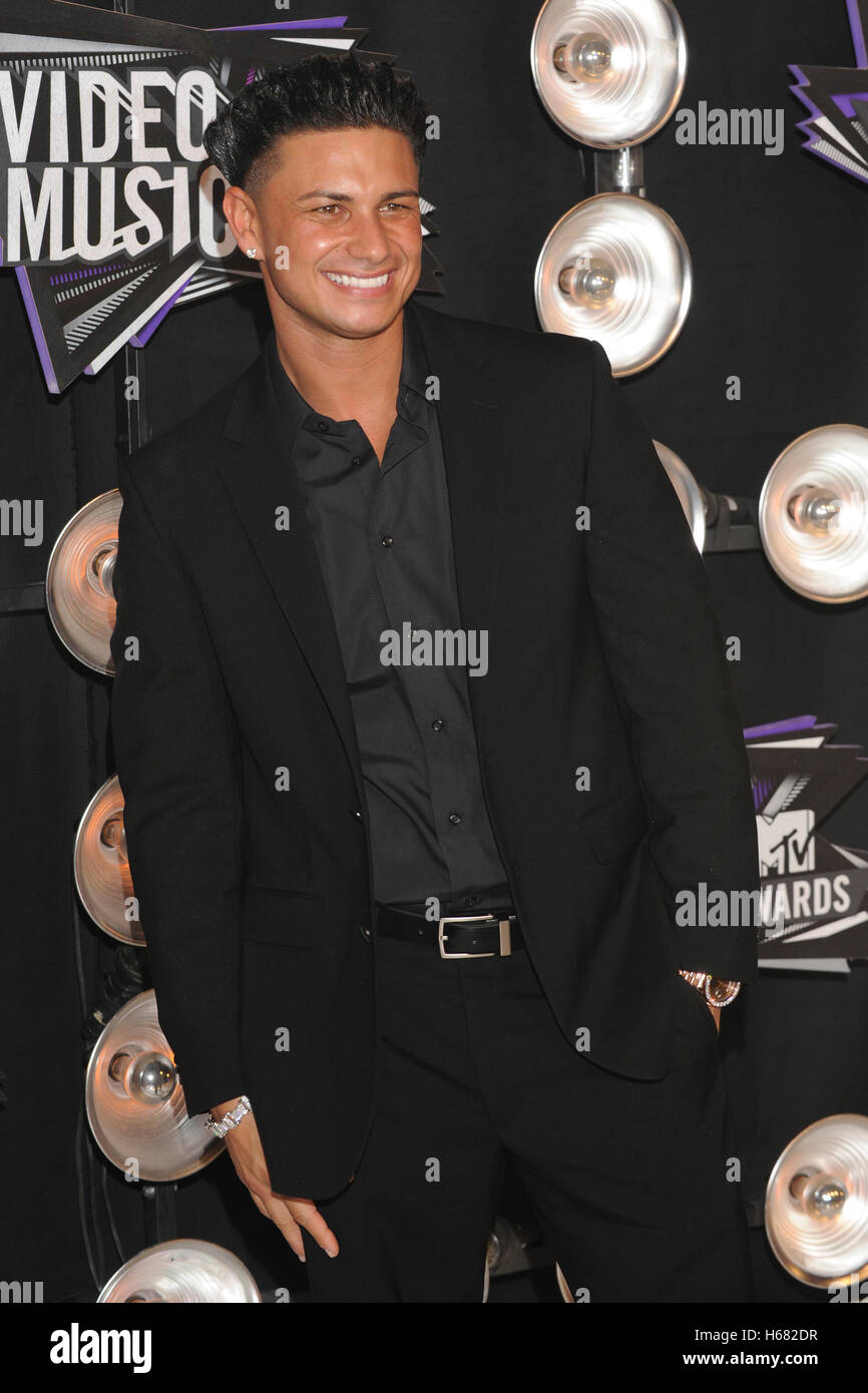 Paul "DJ Pauly D" DelVecchio arrives at the 2011 MTV Video Music Awards ...