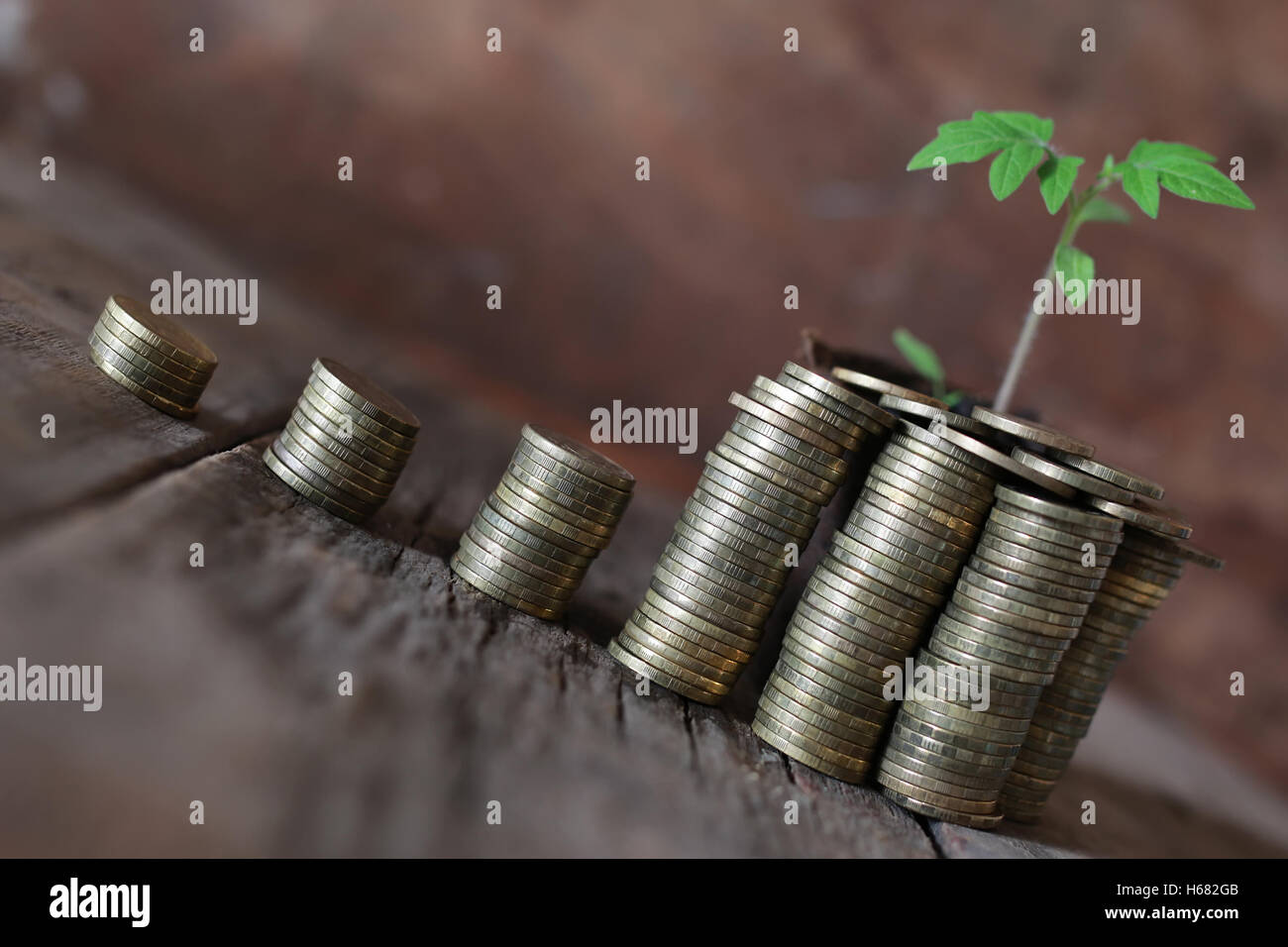 plant and stacks of coins Stock Photo - Alamy