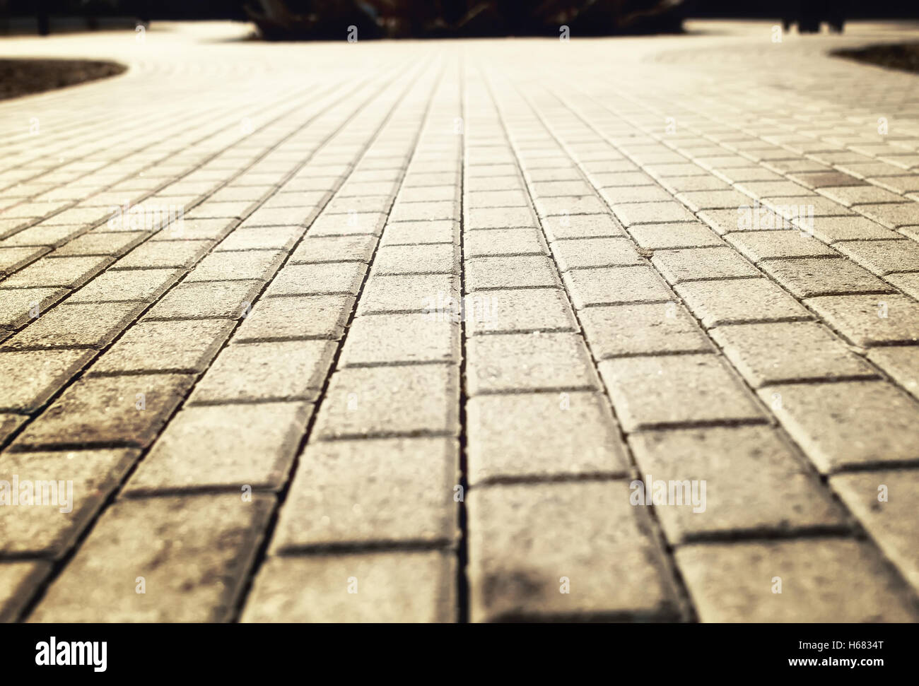 sunlight on paved cobblestone pavement Stock Photo - Alamy