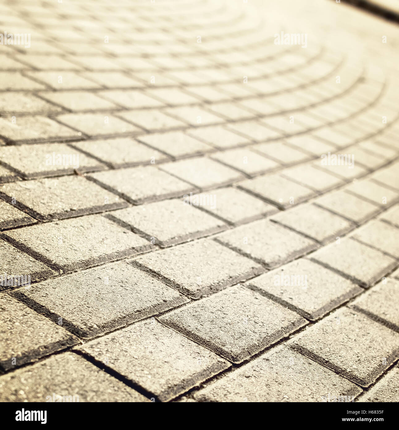 sunlight on paved cobblestone pavement Stock Photo - Alamy