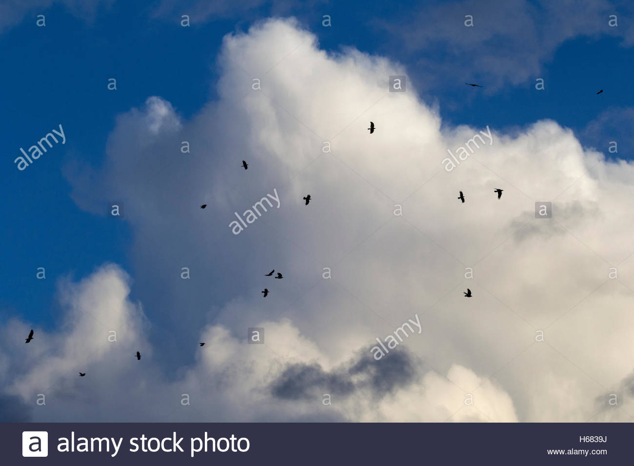 Bothell High Resolution Stock Photography and Images - Alamy