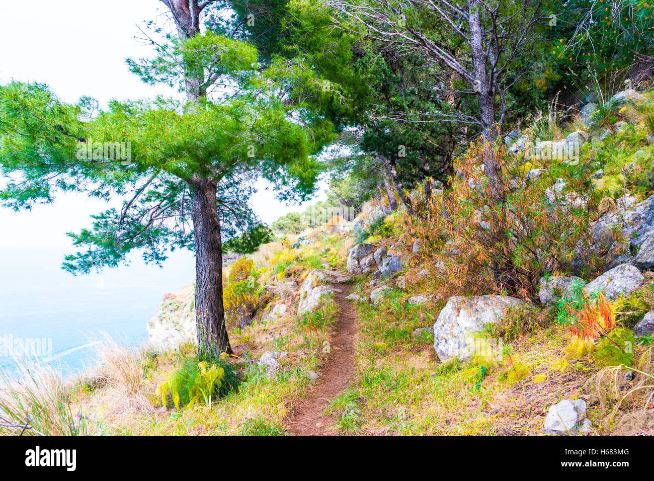 Landscape with trees and stones Stock Photo - Alamy