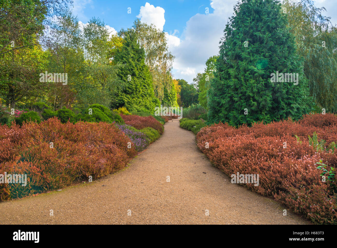 A park in fall colours, London UK Stock Photo - Alamy