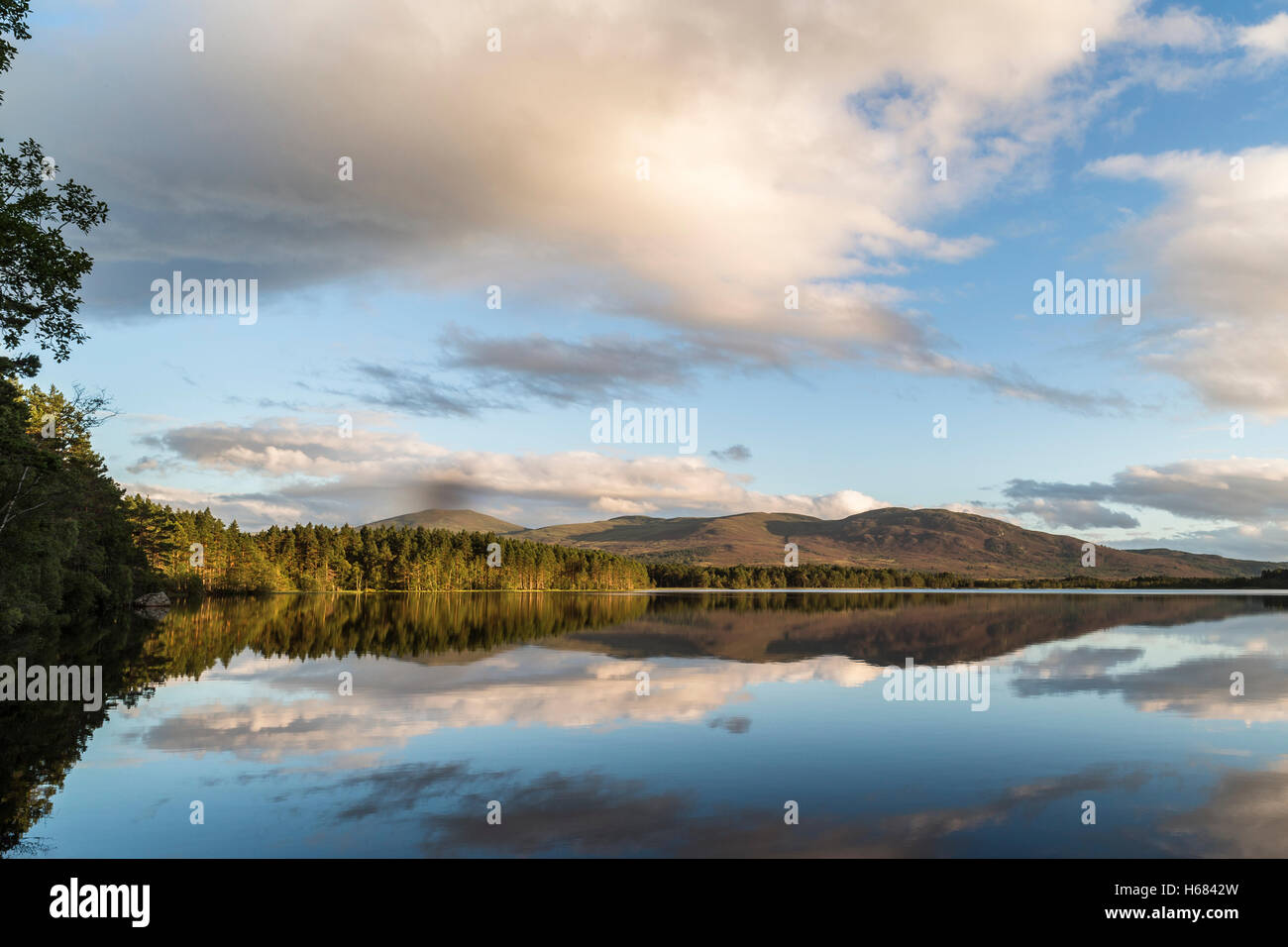 Loch Garten in the Cairngorms National Park Stock Photo - Alamy