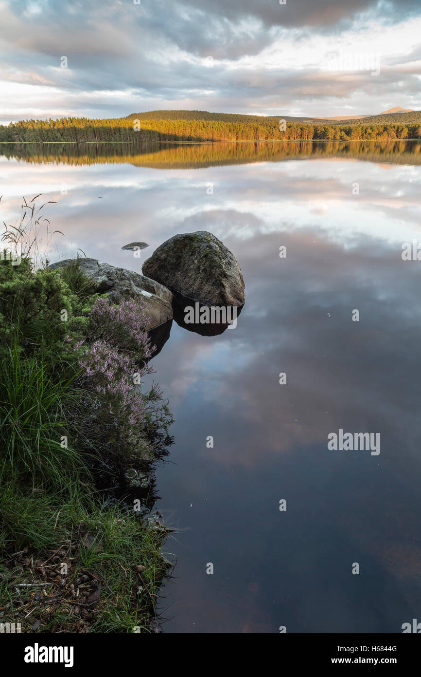 Loch Garten in the Cairngorms National Park Stock Photo - Alamy