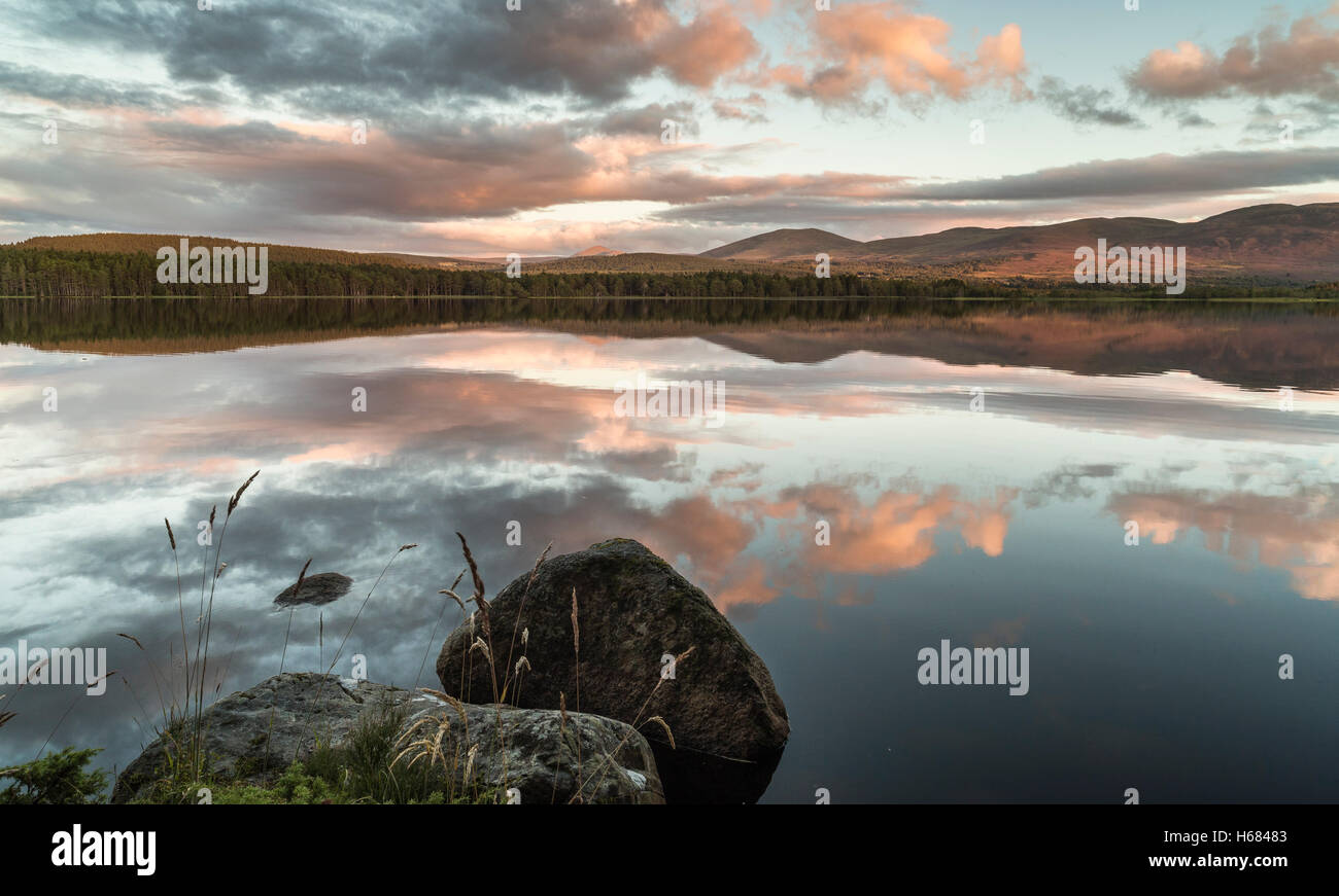 Loch Garten in the Cairngorms National Park Stock Photo - Alamy