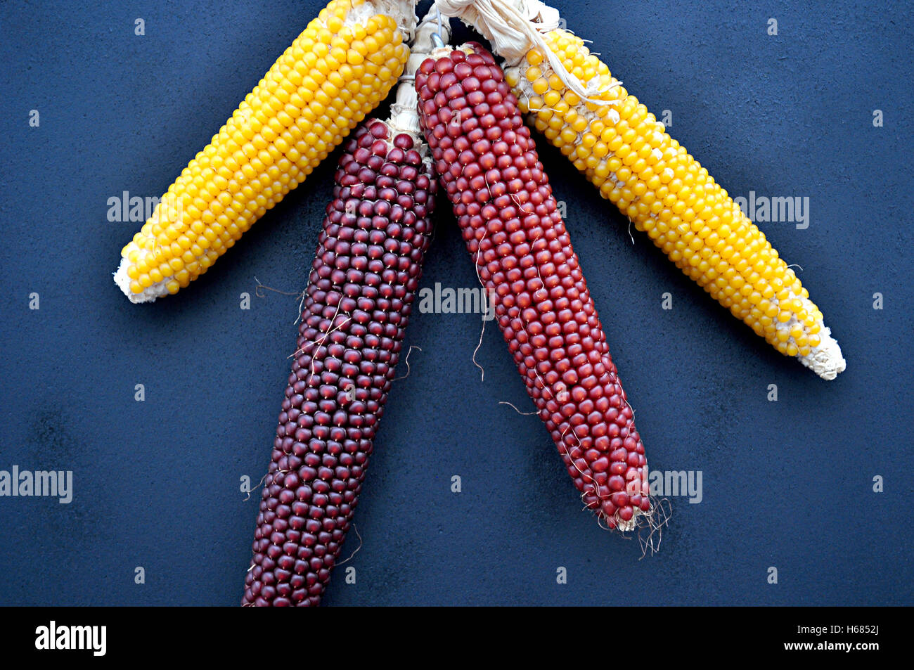 corn cobs with shiny beads Stock Photo - Alamy
