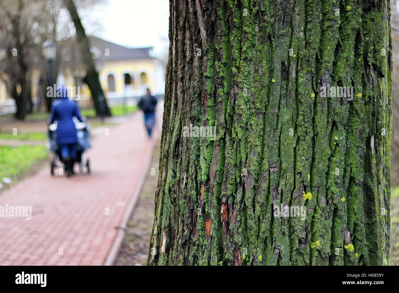 city spring track Stock Photo - Alamy