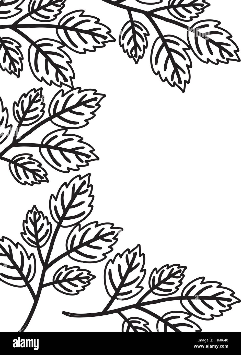 branches with leaves design Stock Vector Image & Art - Alamy