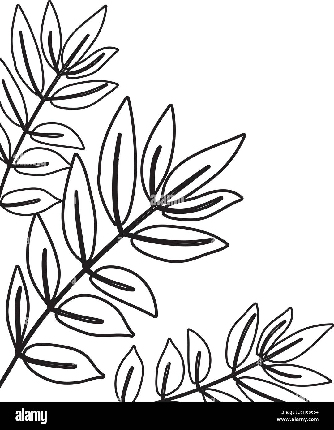 branches with leaves design Stock Vector Image & Art - Alamy
