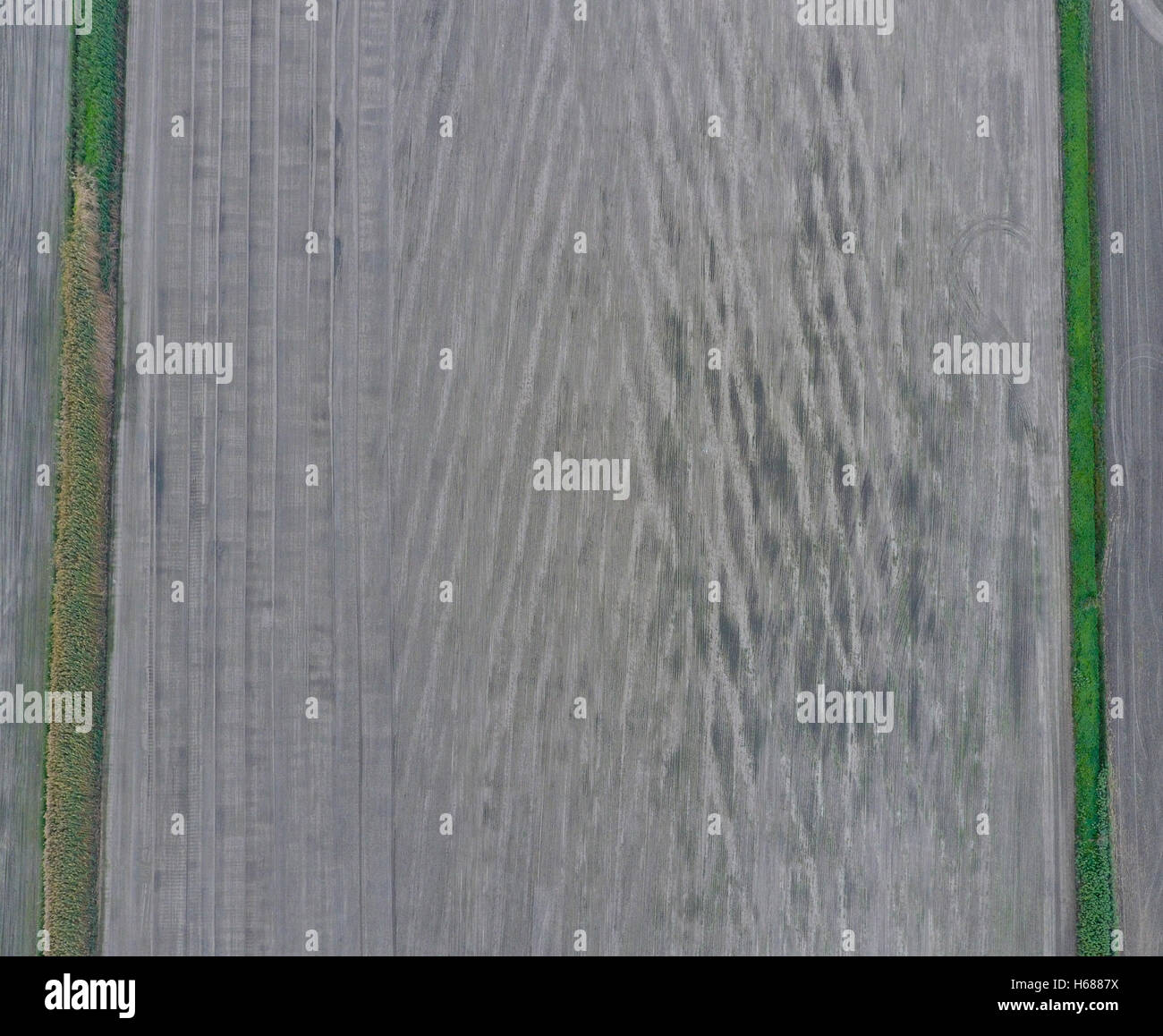 Top view of a plowed field. Background texture of the surface of the ...