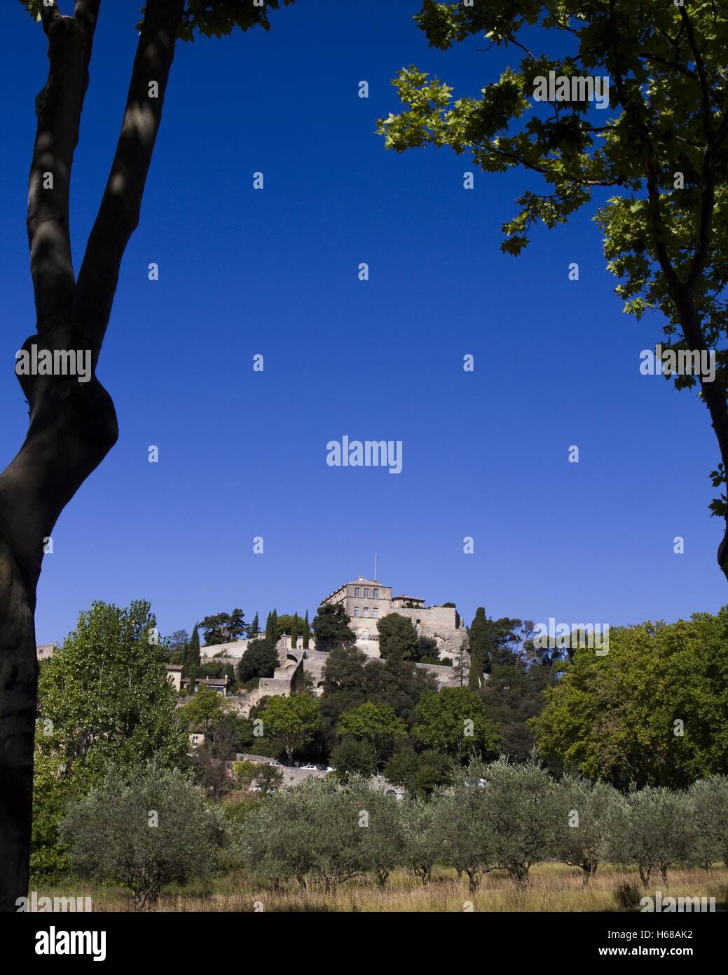 Hillside French village Ansouis framed by two trees and deep blue sky ...