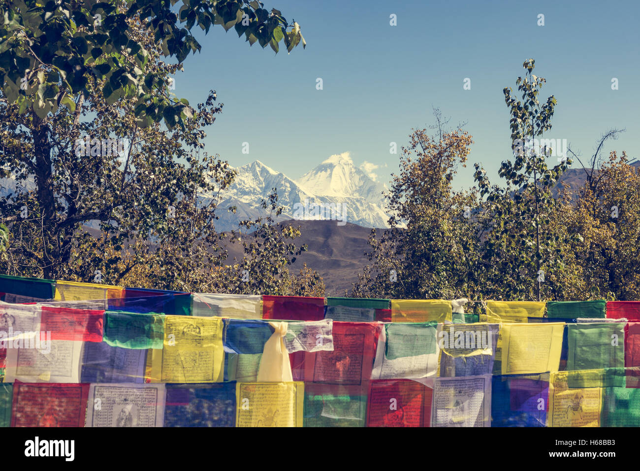Many buddhist prayer flags blowing in the wind Stock Photo - Alamy
