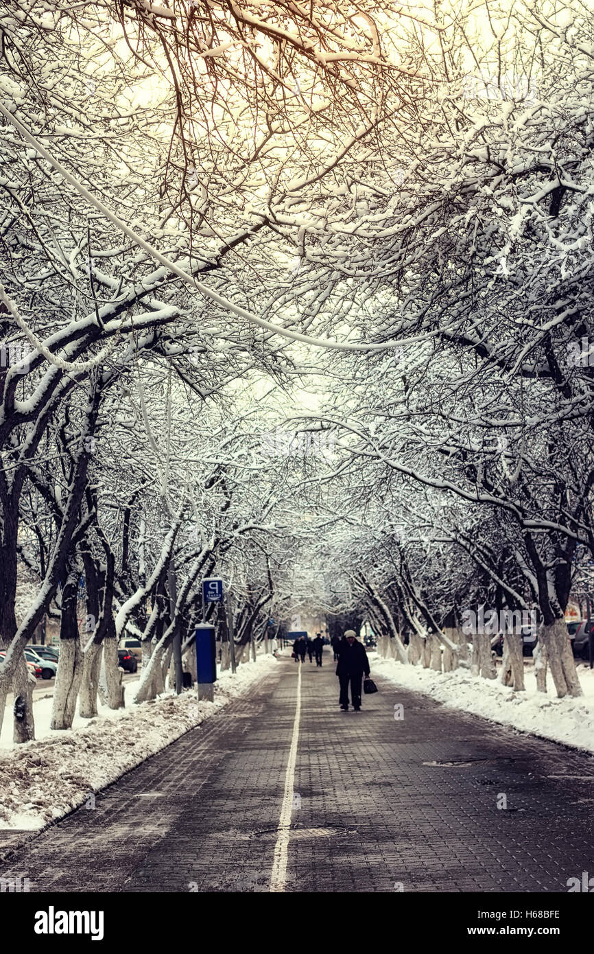 pedestrian pathway tree winter Stock Photo - Alamy