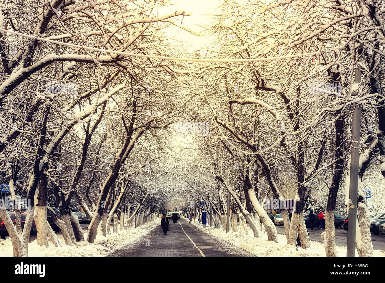 pedestrian pathway tree winter Stock Photo - Alamy