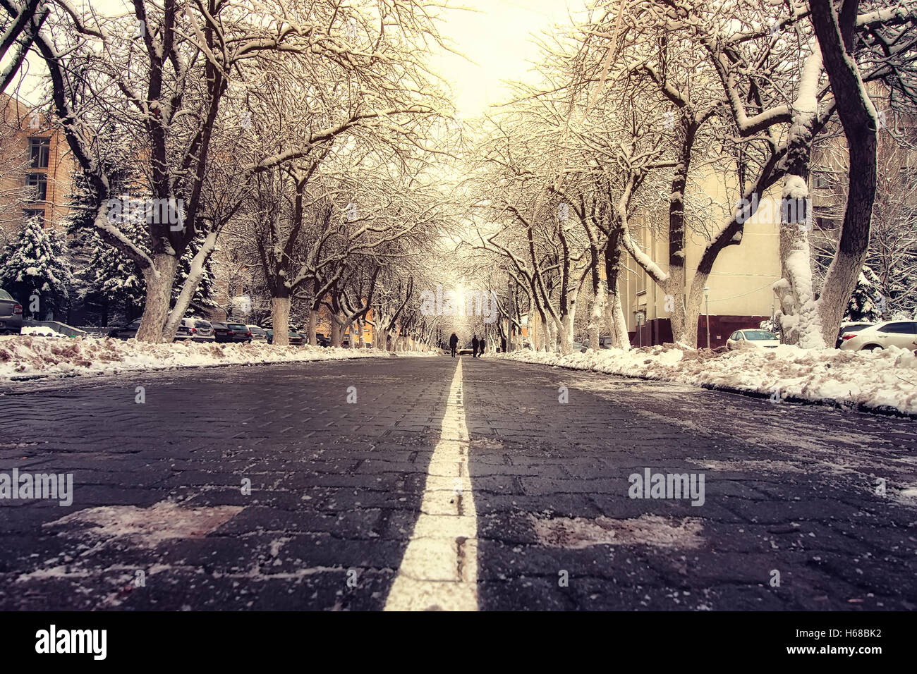 pedestrian pathway tree winter Stock Photo - Alamy