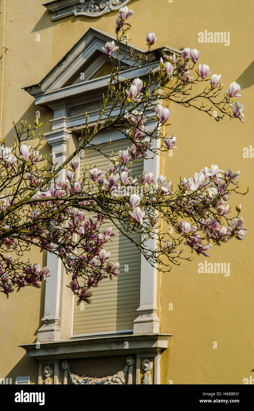 Explore lohr am main hi-res stock photography and images - Alamy