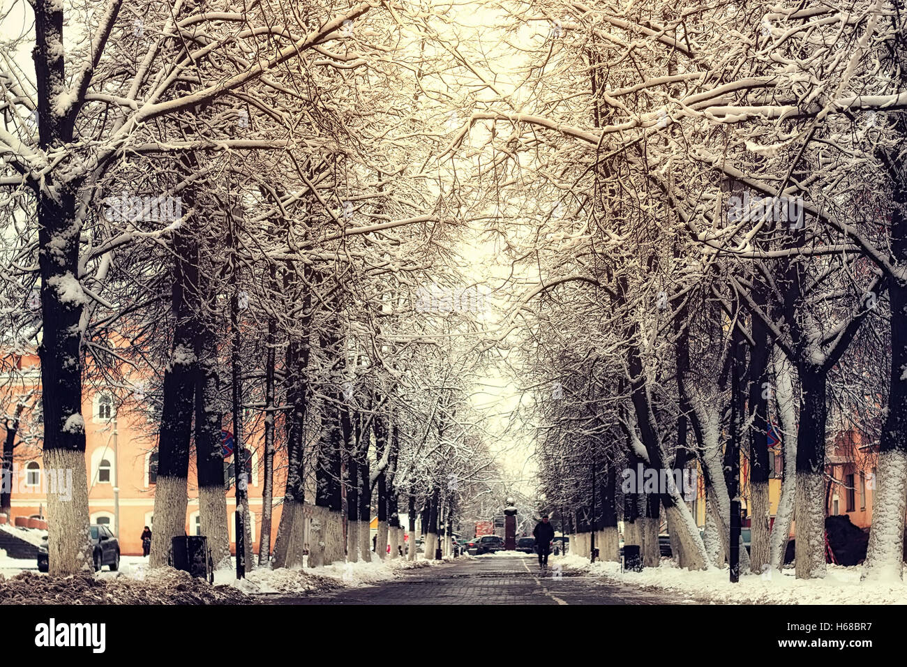 pedestrian pathway tree winter Stock Photo - Alamy